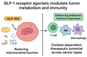GLP-1 signaling in tumor metabolism and immunity: mechanisms and ...