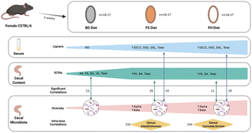 Altered mouse cecal microbiome-serum enterolignans relationships in ...