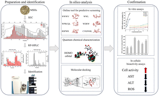 Peptidomic and in silico screening of six novel antioxidant and ...