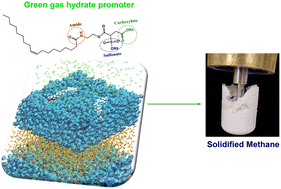 Green chemistry advancement in methane storage: a biodegradable ...