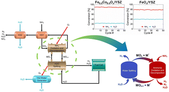 Chemical looping hydrogen production from ammonia and water: materials ...