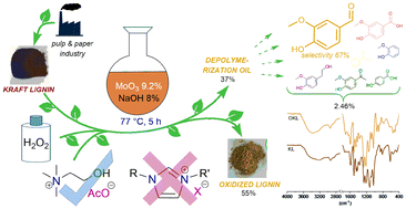 Aqueous choline acetate as reaction medium for the oxidation of kraft ...