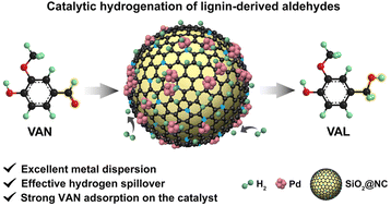 Synergistic SiO2@NC core–shell nanospheres enhance catalytic ...