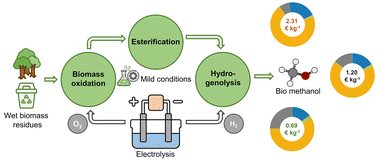 Methanol production in a sustainable, mild and competitive process ...