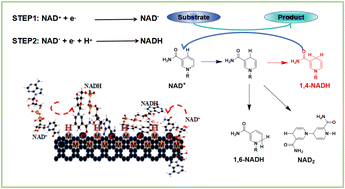 Metal–carbon electrode optimization for efficient electrochemical ...