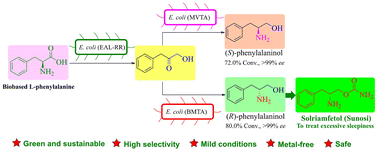 Cascade biocatalysis for enantioselective reconstruction of both ...