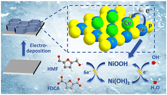 Enhanced electrocatalytic hydrogen evolution reaction, oxygen evolution ...