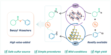 Single electron transfer/hydrogen atom transfer synergistic catalysis ...