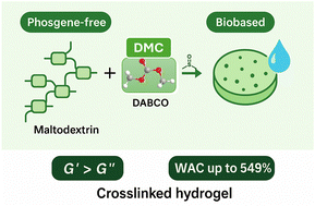 Green synthesis of scalable non-soluble hydrogels: rapid transesterification of maltodextrin ...