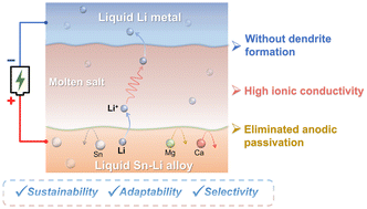 Fully liquid electrorefining: a highly efficient and selective approach ...