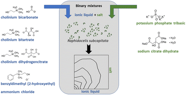 Ecotoxicity of binary mixtures of cholinium-based ionic liquids and ...
