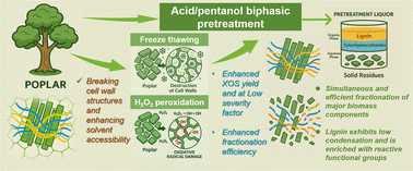 Hydrogen peroxide pre-oxidation breaks down the recalcitrance of poplar ...