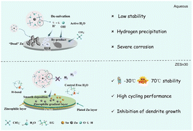 Interface engineering via in situ constructed zincophilic gradient ...