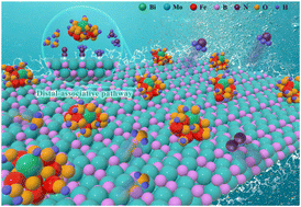Bi-doped directional spin-polarised electron injection modulates MBene ...