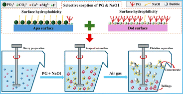 Differentiated regulation of mineral interface properties using an eco ...
