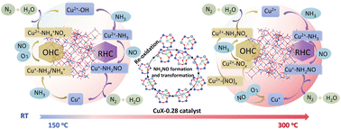 Revealing the evolution of CuII species and ammonia intermediates at ...