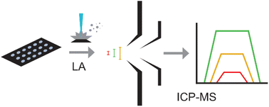 The influence of cone orifice diameter on ion transmission in solution ...