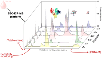 Development of a SEC-ICP-MS platform for multielement ...