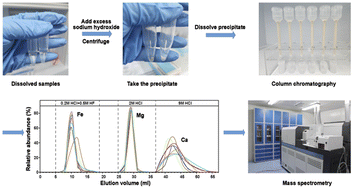 A rapid method for separating magnesium, iron and calcium from low-Mg ...