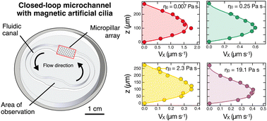 Magnetic pillar induced Poiseuille-like flow in microfluidic channels ...