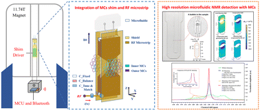 Integration of multi-coil shim and RF microstrip coils for high ...