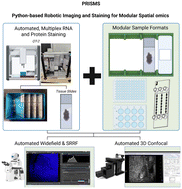 Modular, open-sourced multiplexing for democratizing spatial omics ...