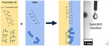 Fluorophilic boronic acid copolymer surfactant for stabilization of ...