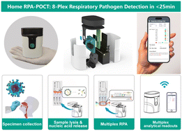 Handheld RPA-based molecular POCT system for rapid, low-cost 8-plexed detection of respiratory ...