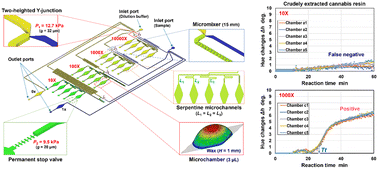Parallel dilution microfluidic device for enabling logarithmic ...