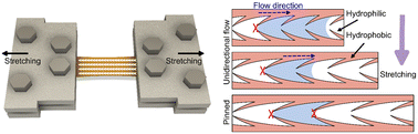Micro elastofluidic liquid diode for programmable unidirectional flow ...