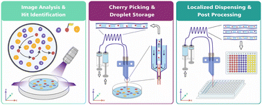 Smarter cell sorting: droplet microfluidics meets pick-and-place ...