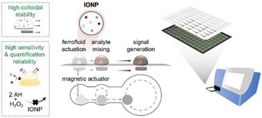 A physicochemically compatible ferrofluid droplet robotic system for ...