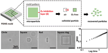 Oxygen-free discontinuous dewetting in a degassed mold for anisotropic ...