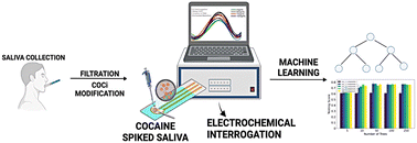 Target analyte assisted sensitive electrochemical detection of cocaine ...