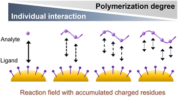 Amino acid interactions dependent on the polymerization of charged ...