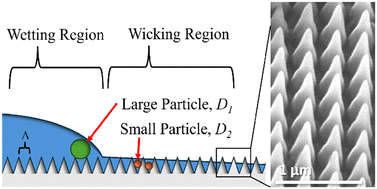 Nanoparticle dispersion and separation in superhydrophilic ...