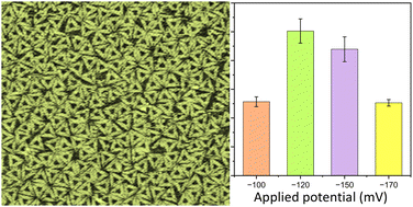 Surface potential-dependent assembly of DNA origami lattices at SiO2 ...