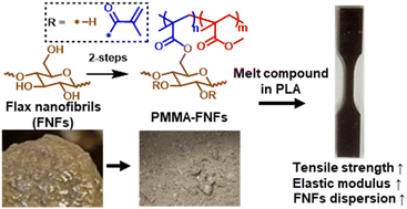 Strengthening poly(lactic acid) composites with poly(methyl ...