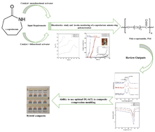 Rheokinetics of ε-caprolactam anionic-ring polymerization applied to ...