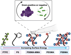 Touch transfer of microorganisms on polymer surfaces - RSC Applied ...