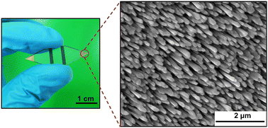 Light-induced foldable materials with 3D-gold nanorod assemblies enable ...
