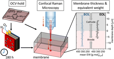 Localized ionomer degradation analysis of sulfonated poly(phenylene ...