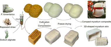 Extrusion-based additive manufacturing of complex three-dimensional ...