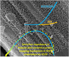 3D honeycomb porous sulfonated covalent organic polymer (PCOP ...