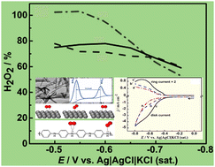 Inverse nanocomposites of polyaniline/MnO2 nanorods for efficient ...