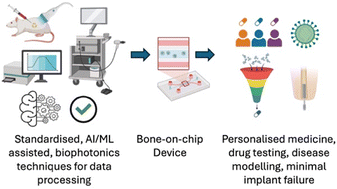 Integration of biophotonics with bone-on-chip technology for continuous ...