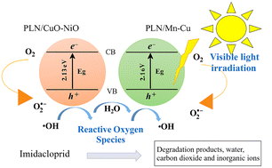 Design and optimization of polyindole-integrated bimetallic composites ...