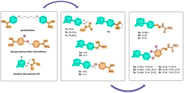 New Trypanosoma brucei acting derivatives incorporating 1-(4-phenyl ...