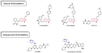 Design, synthesis, and biological evaluation of novel N-(1H-indazol-6 ...