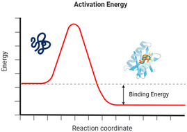 Thermodynamics and mechanism of afatinib–EGFR binding through a QM/MM ...